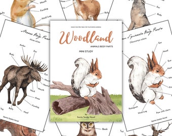 MINI STUDY: Farm Animals Body Parts Total 470 Pages Anatomy Morphology ...