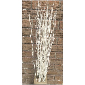 Cream Washed White Natural Contorted Willow Twigs Bunch, Curly Twisted ...