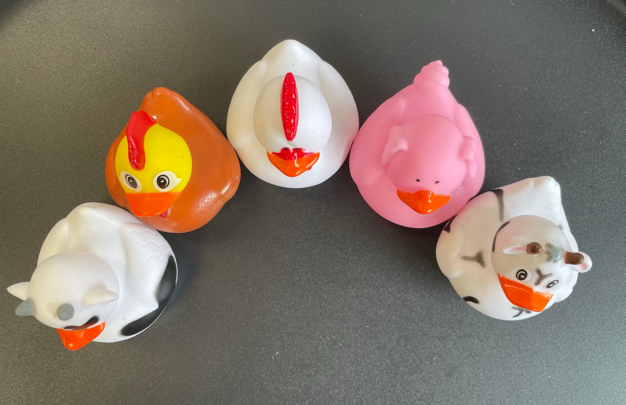 Farmyard 5 X Mini Rubber Duck Set: Fun Gift, Wedding Favour, Duck Race ...