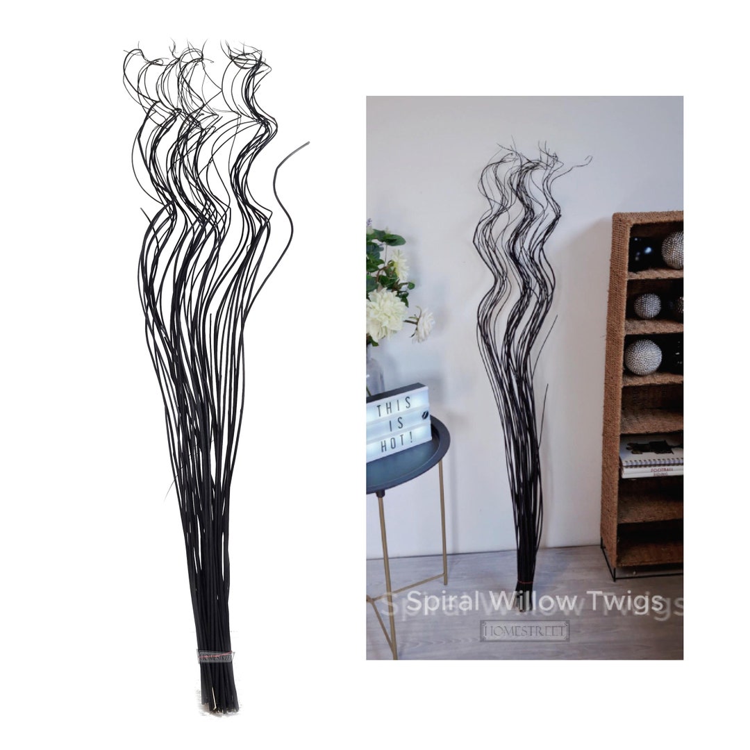 Black Tall Willow Twigs Bunch, Spiral Corkscrew or Twisted Contorted ...