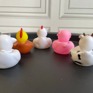 Farmyard 5 X Mini Rubber Duck Set: Fun Gift, Wedding Favour, Duck Race ...