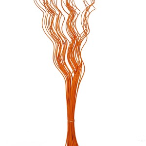 Spiral Willow Twigs Bunch, Curly Twisted Dried Dyed Vase Filler ...