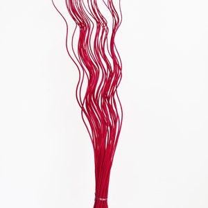 Spiral Willow Twigs Bunch, Curly Twisted Dried Dyed Vase Filler ...