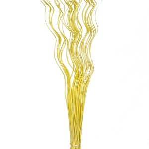 Spiral Willow Twigs Bunch, Curly Twisted Dried Dyed Vase Filler ...