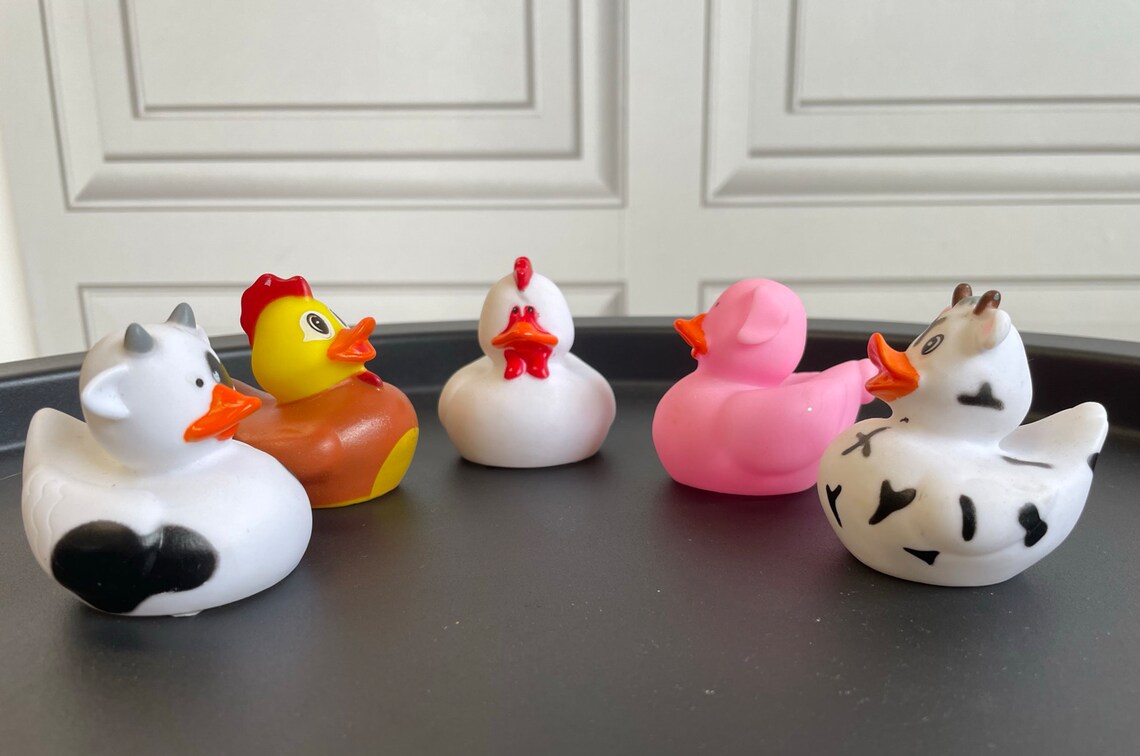 Farmyard 5 X Mini Rubber Duck Set: Fun Gift, Wedding Favour, Duck Race ...