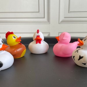 Farmyard 5 X Mini Rubber Duck Set: Fun Gift, Wedding Favour, Duck Race ...