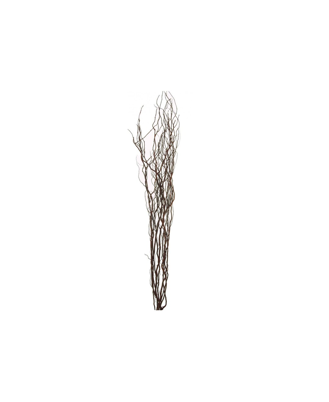 Brown Natural Contorted Willow Twigs Bunch, Curly Twisted Dried Vase ...