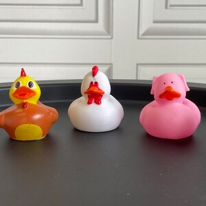 Farmyard 5 X Mini Rubber Duck Set: Fun Gift, Wedding Favour, Duck Race ...