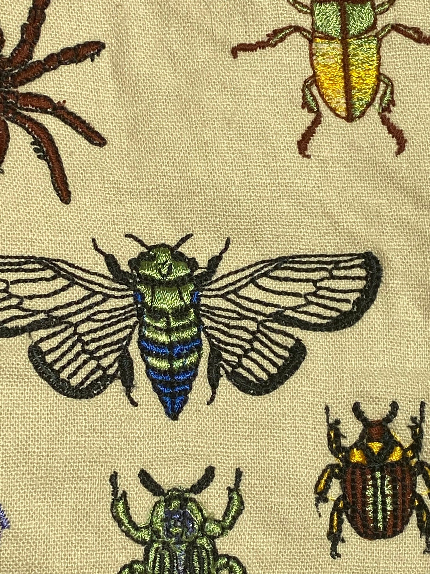 Bug Insect Moth Designs Pack of 6 Colorful Realistic Digital Machine ...