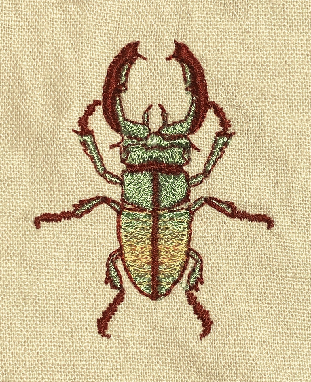 Stag Beetle Colorful Realistic | Fly Bug Insect Designs | Digital ...