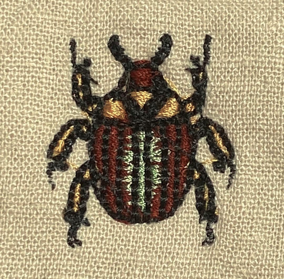 Realistic Small Beetle | Fly Bug Insect Designs | Digital Machine ...