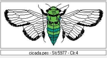 Bug Insect Moth Designs Pack of 6 Colorful Realistic Digital Machine ...