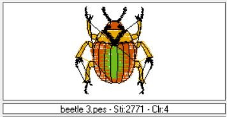 Bug Insect Moth Designs | Pack of 6 | Colorful Realistic | Digital ...