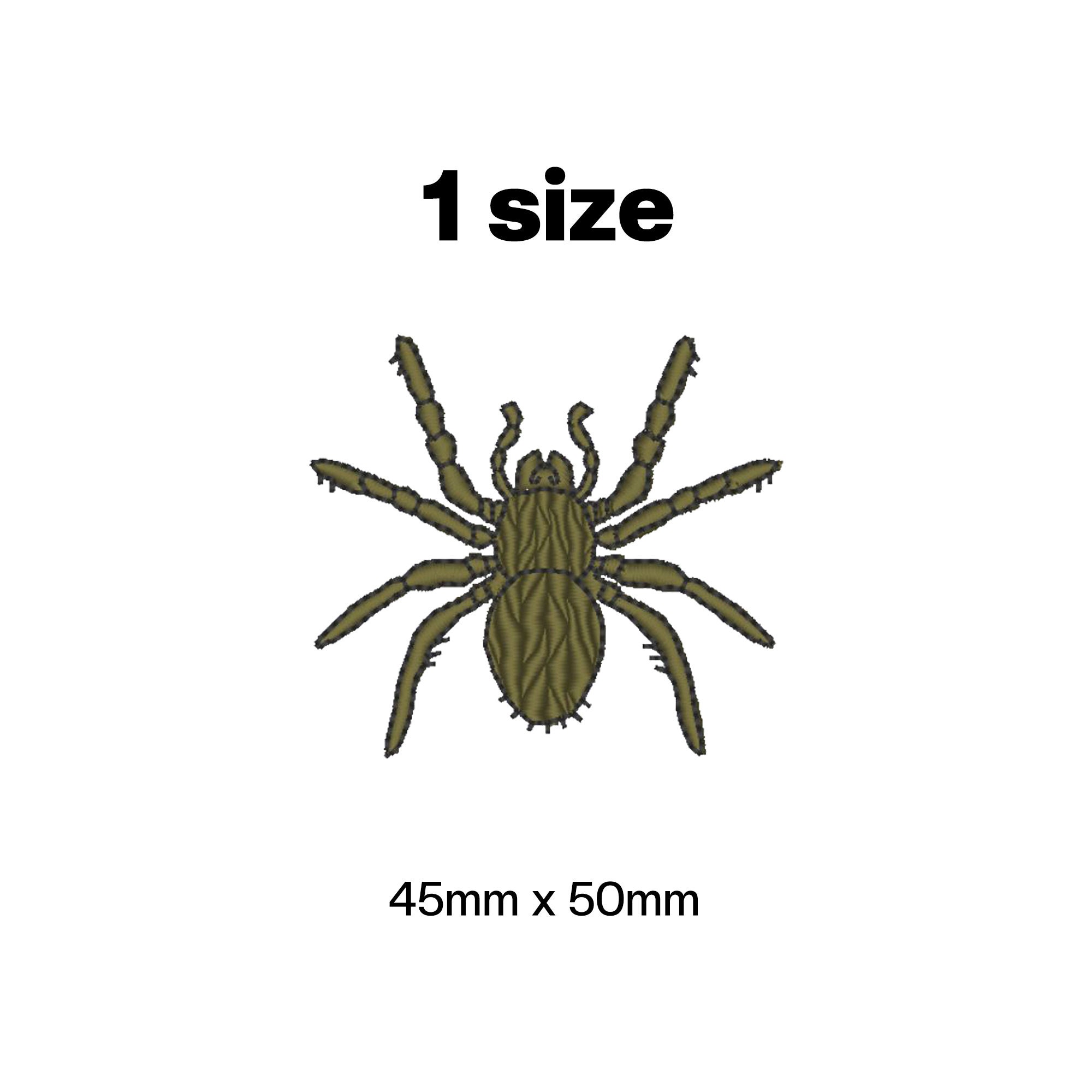 Realistic Tarantula Arachnida/bug Designs Digital Machine Embroidery ...
