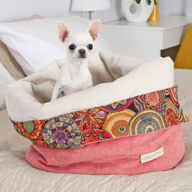Cute Dog Bed - Etsy