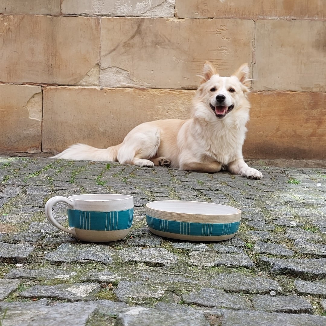 Handmade Ceramic Dog Bowl | Turquoise Scraffito Pet Bowl - Etsy