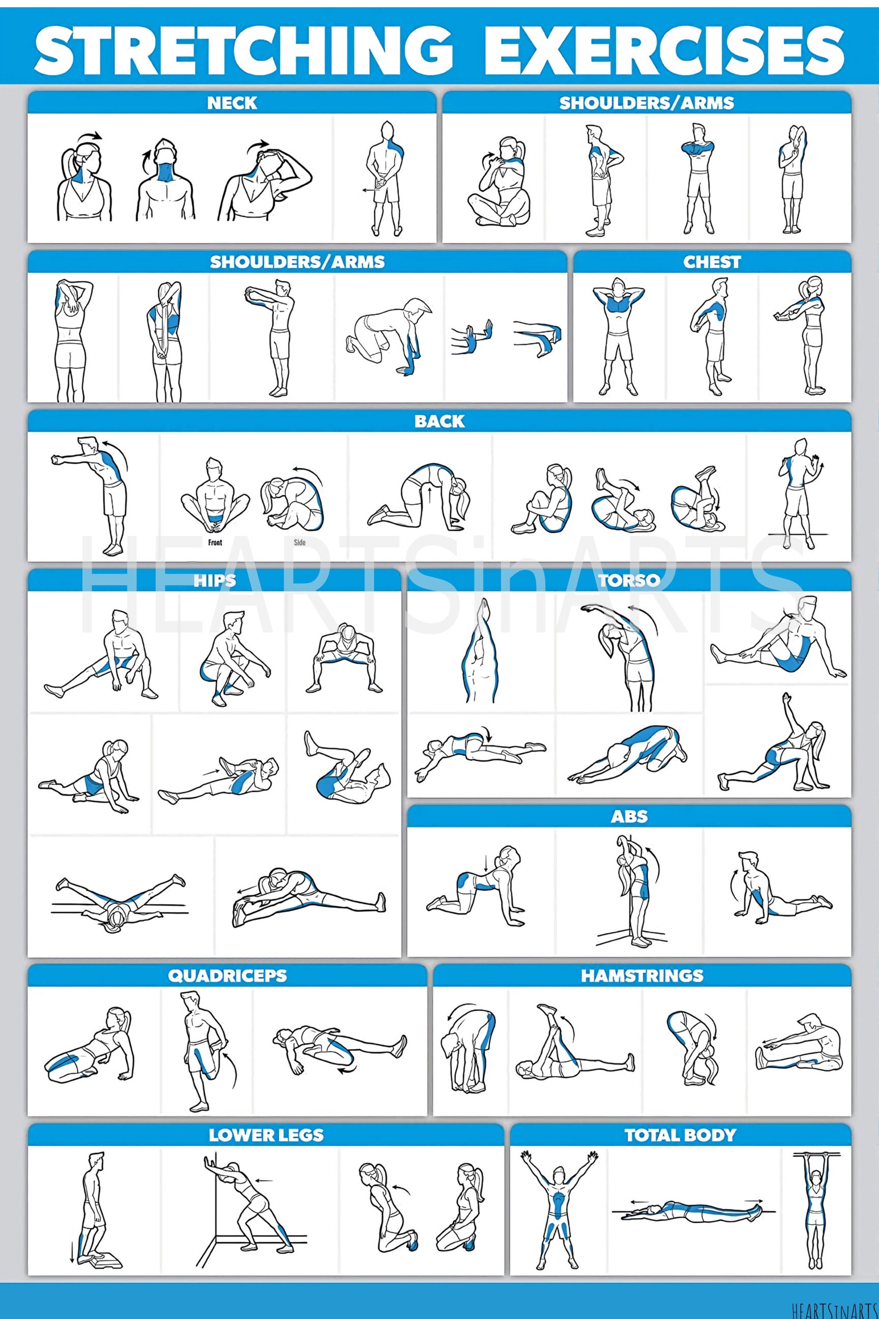 Stretching Chart