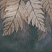 Tropical Tree Leaves Wallpaper Bronze Leaves Wallpaper - Etsy