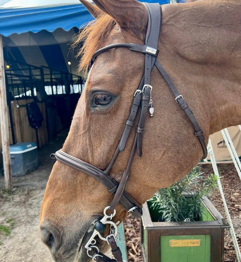 Build Your Own Horse Bridle Crystal Charm | Custom Bridle Charm | Horse ...