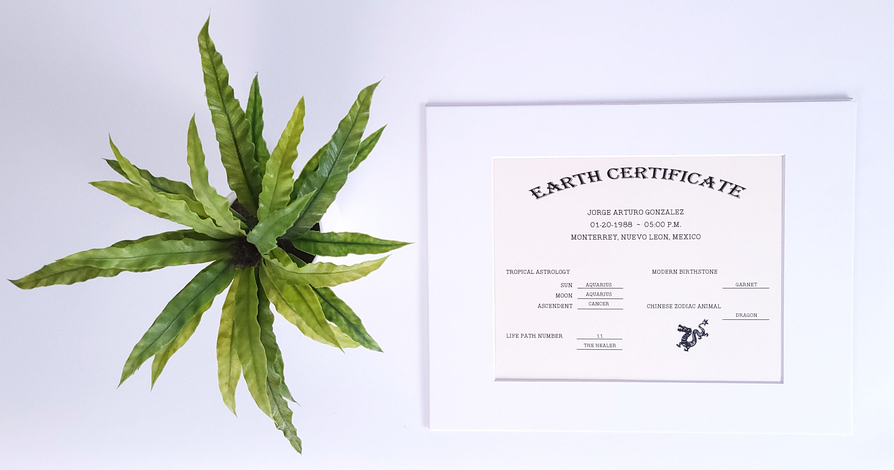 Personalized Earth Certificate - Etsy