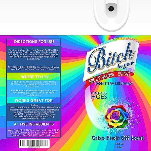 Bitch Be Gone Lysol - Etsy