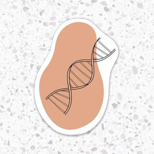 Vinyl Sticker Laptop Sticker DNA Sticker Science Science - Etsy