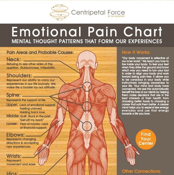 Anatomy Pain Diagram Mechanisms Of Acute Pain Vs Chronic Pain El