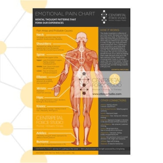 Anatomy Pain Diagram Mechanisms Of Acute Pain Vs Chronic Pain El