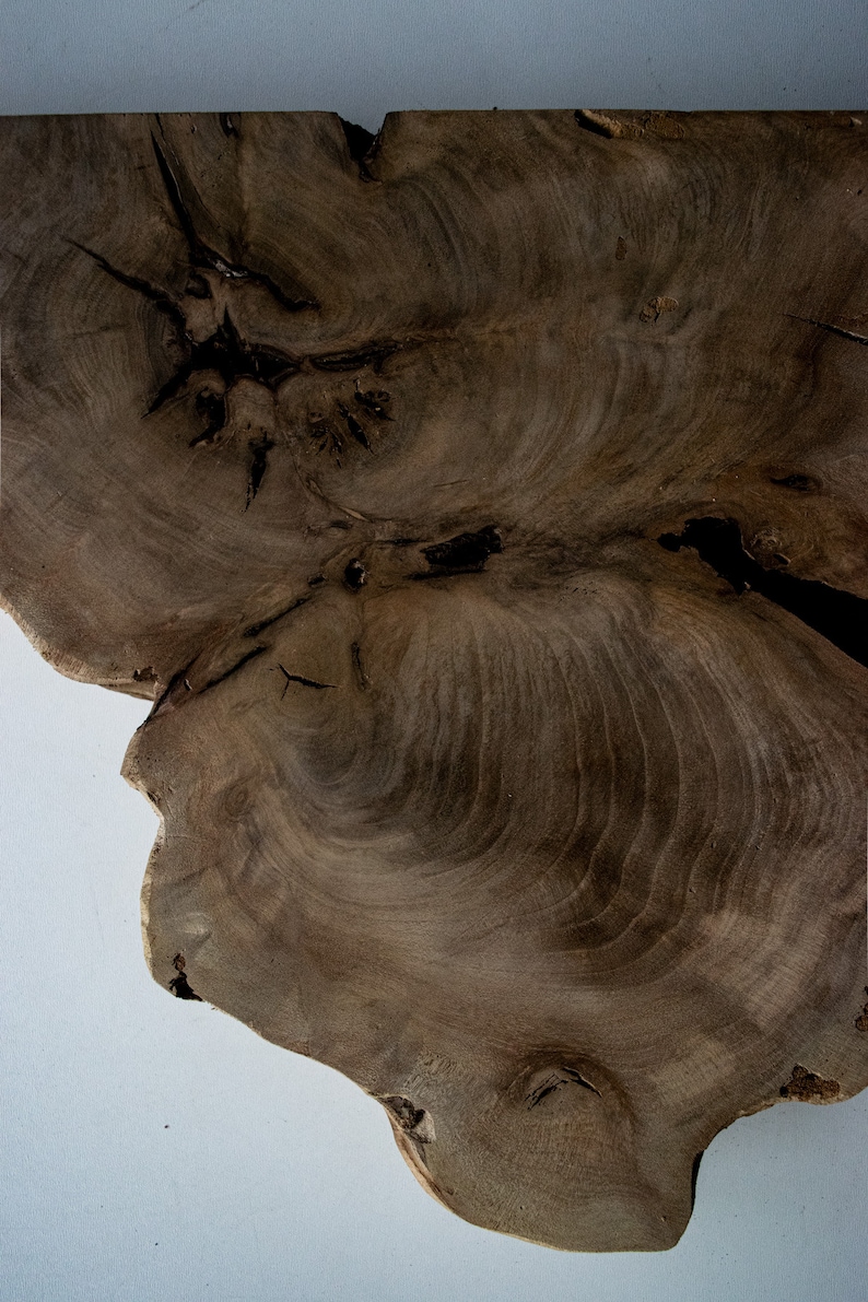 Walnut Tree Slice Walnut Tree Wood Slabs Live Edge Unique - Etsy