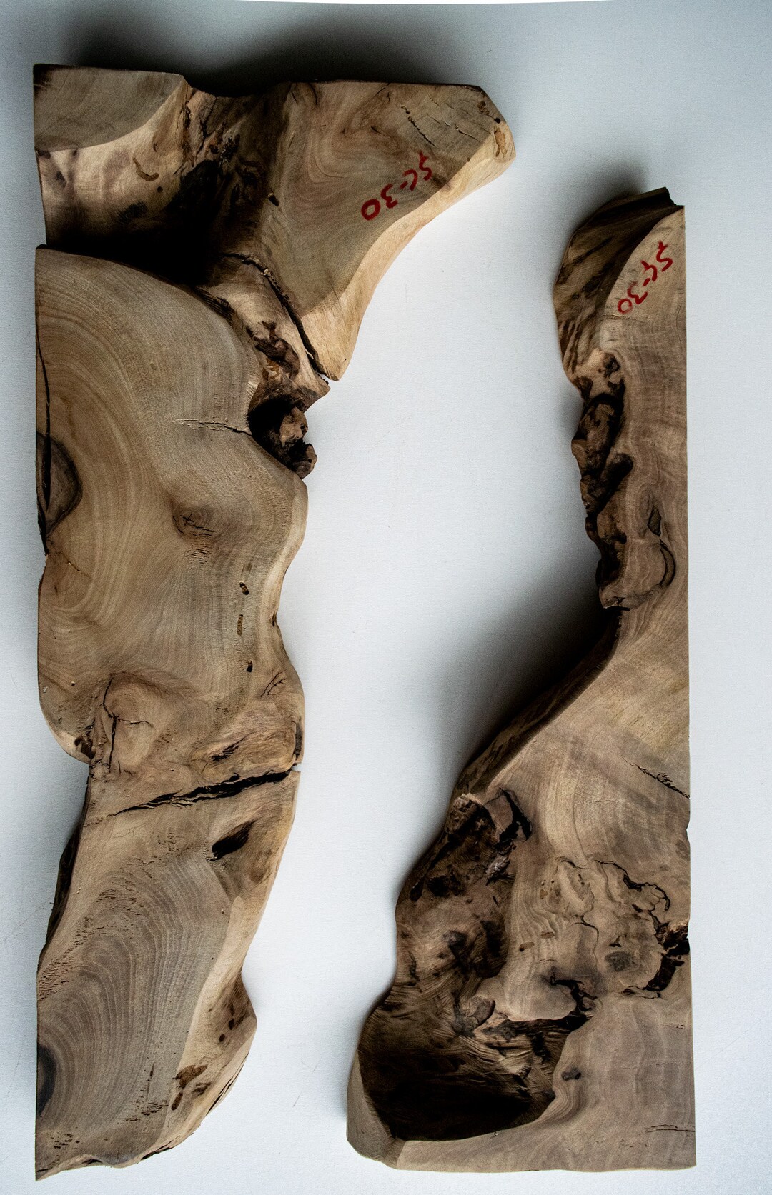 Walnut Tree Slice Walnut Tree Wood Slabs Live Edge Unique - Etsy