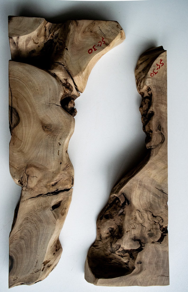 Walnut Tree Slice Walnut Tree Wood Slabs Live Edge Unique - Etsy