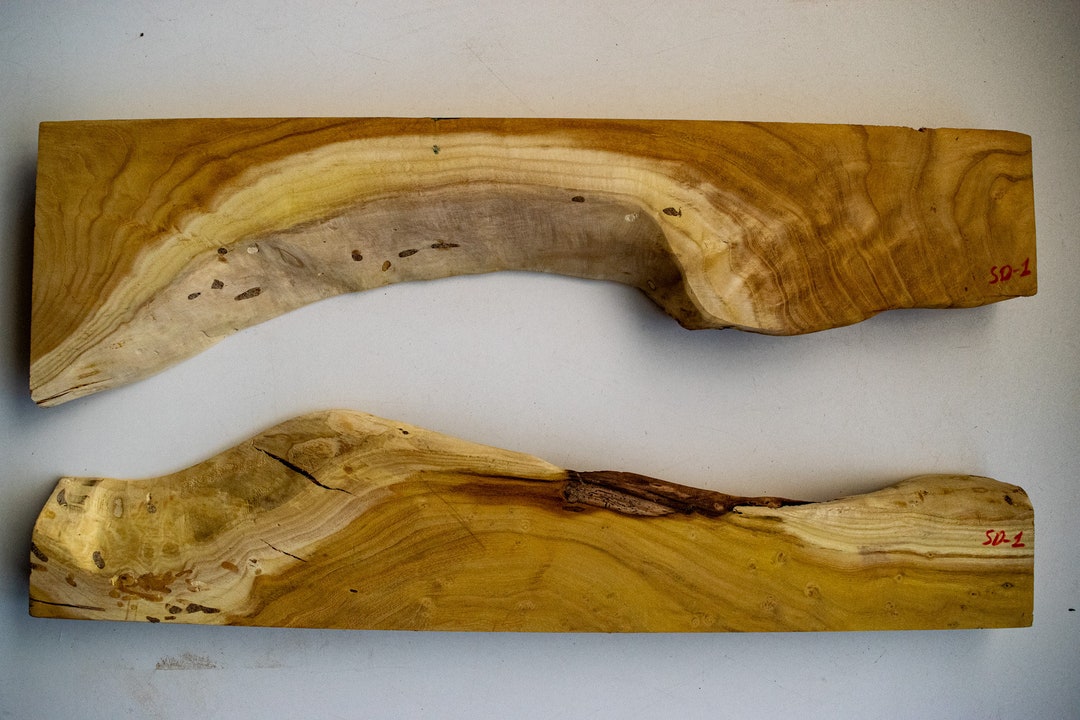 Mulberry Tree Slice, Mulberry Tree Wood Slabs, Live Edge Slab, Unique ...