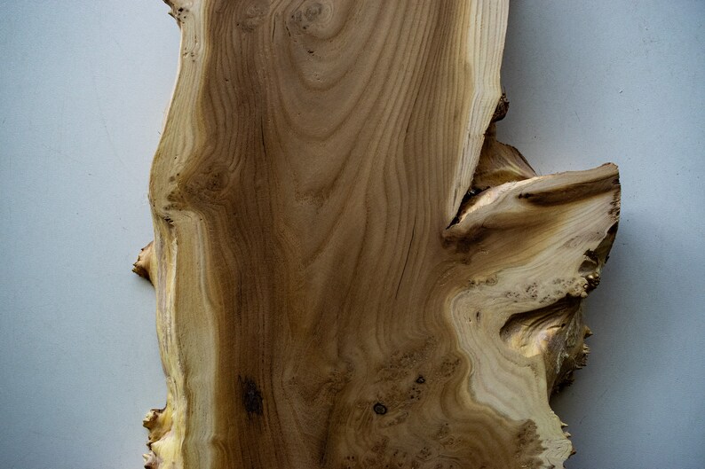 Live Edge Raw Edged Wood Sheet Live Edge Sheet Unfinished for - Etsy