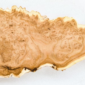 Live Edge Raw Edged Wood Sheet, Live Edge Sheet Unfinished for Craft ...