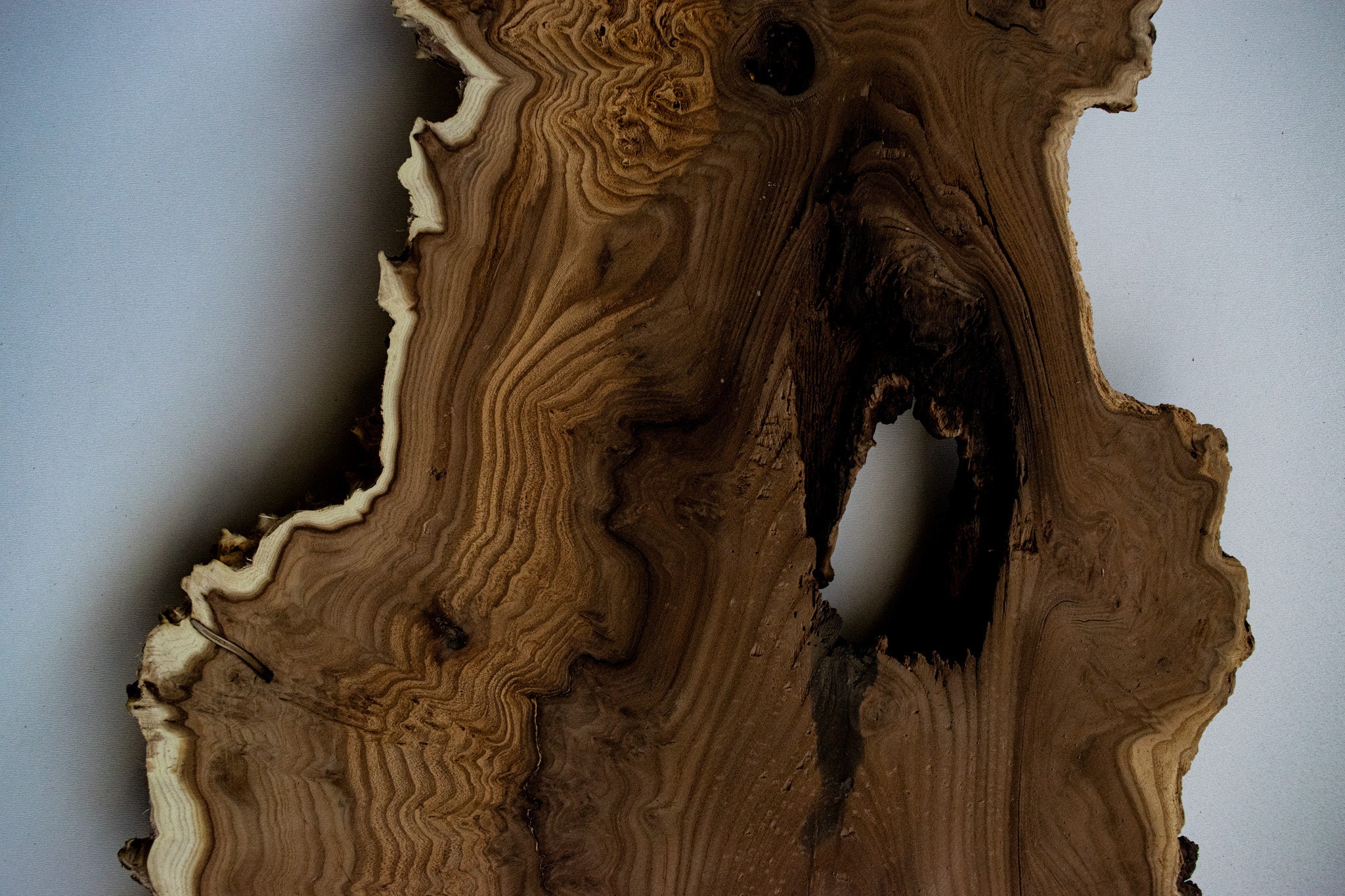 Live Edge Raw Edged Wood Sheet Live Edge Sheet Unfinished for - Etsy
