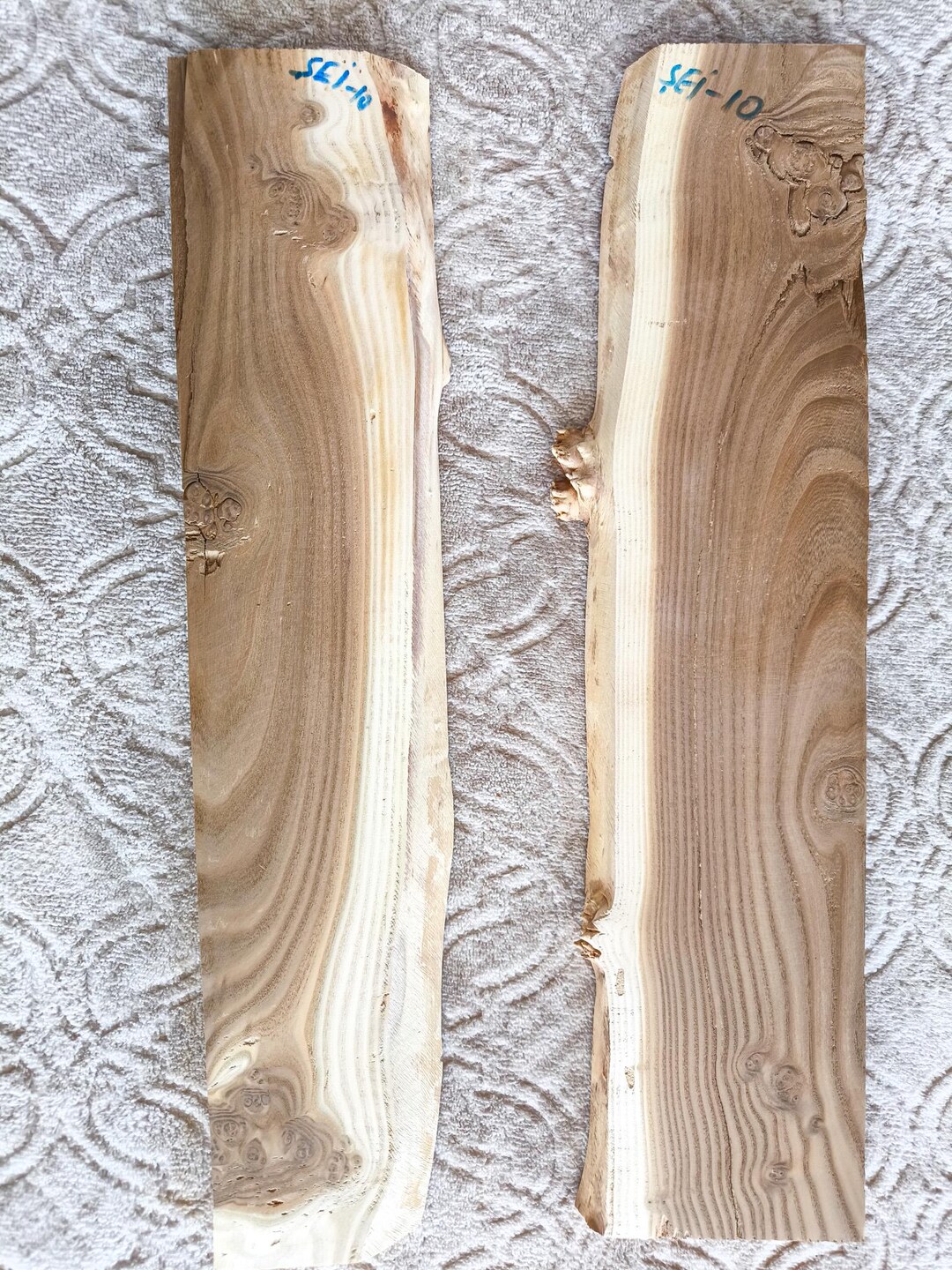 Authentic Wood Slice, Unique Tree Slab for Home & Garden Décor, Natural ...