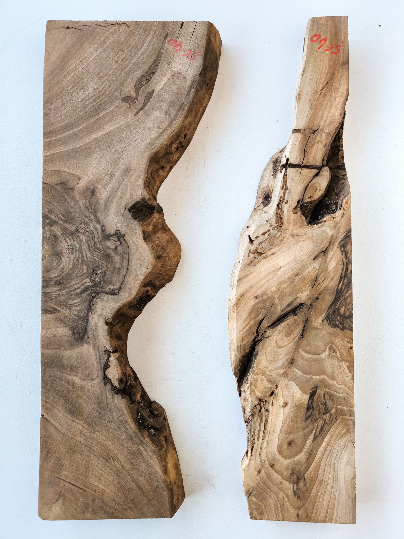 Walnut Tree Slice, Walnut Tree Wood Slabs, Live Edge, Unique Walnut ...