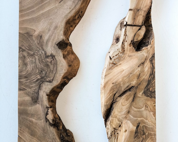 Walnut Tree Slice, Walnut Tree Wood Slabs, Live Edge, Unique Walnut ...