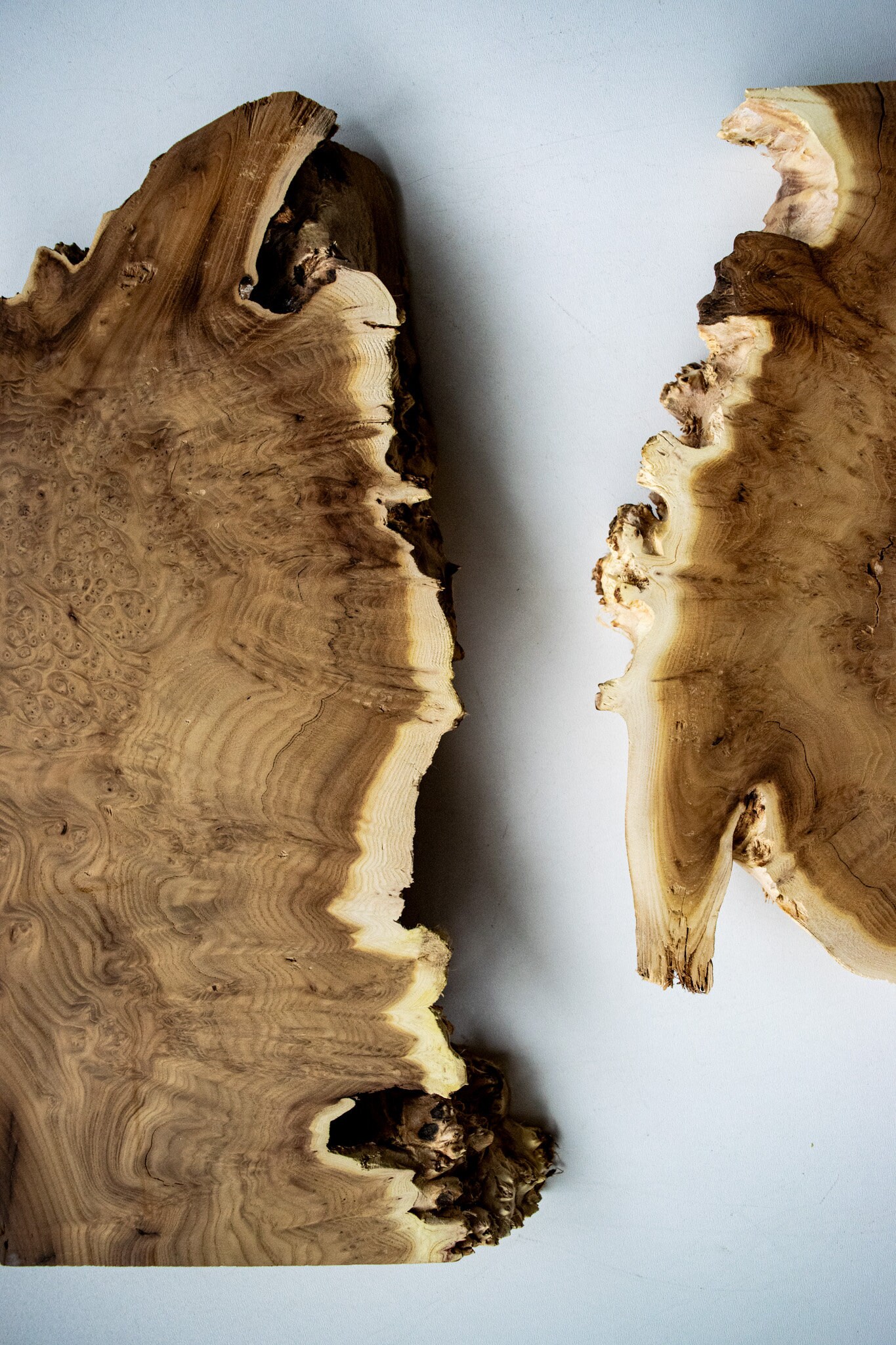 Live Edge Raw Edged Wood Sheet Live Edge Sheet Unfinished for - Etsy