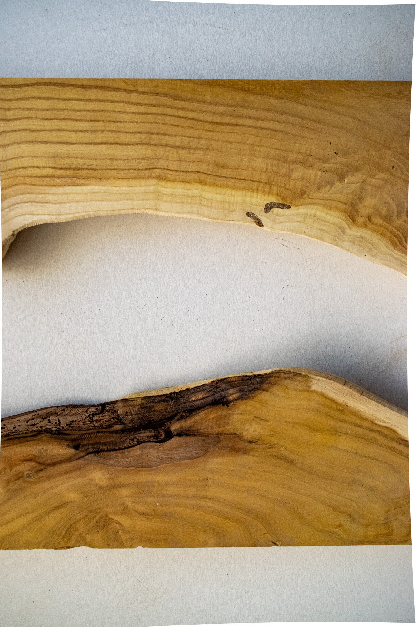 Mulberry Tree Slice, Mulberry Tree Wood Slabs, Live Edge, Unique ...