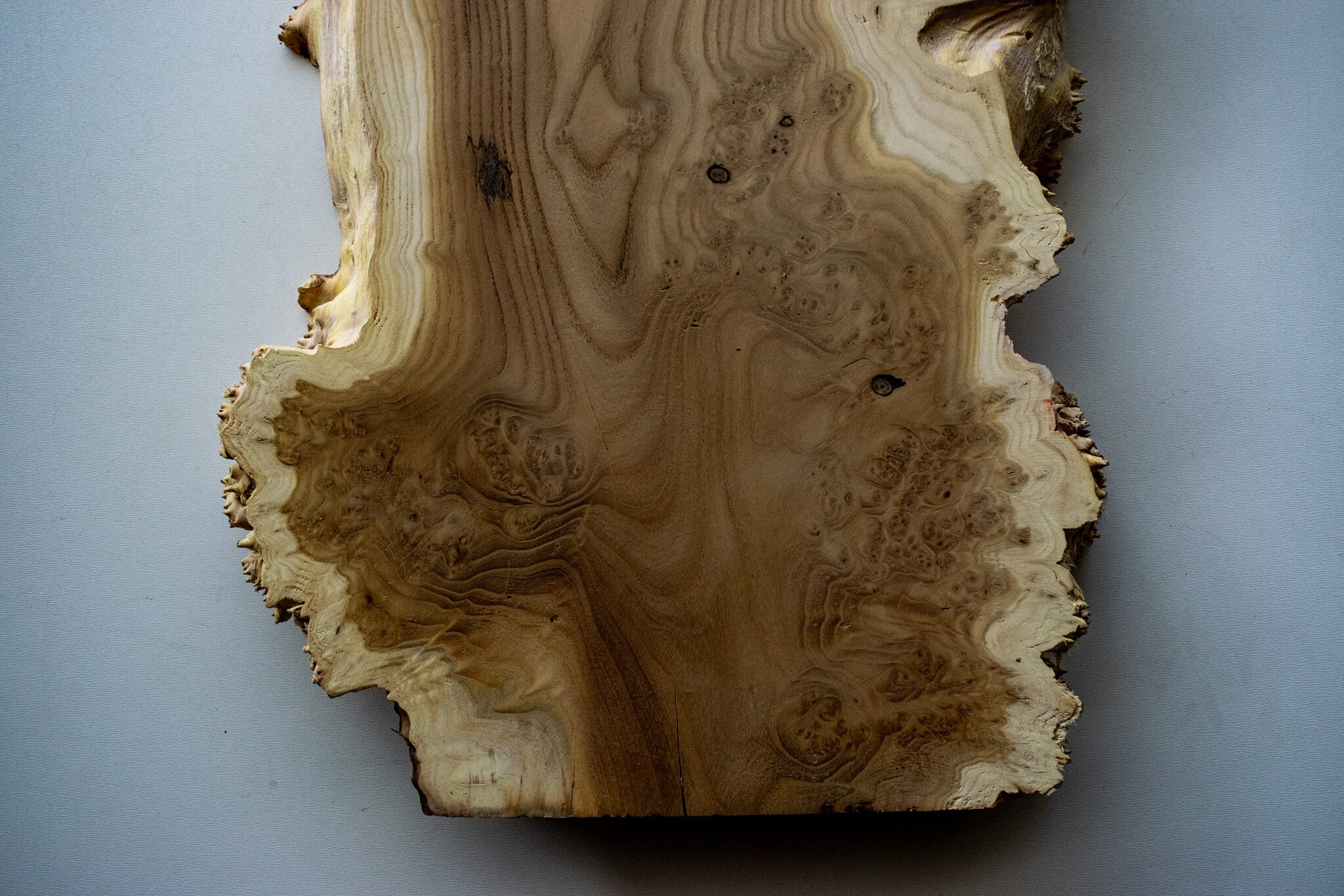 Live Edge Raw Edged Wood Sheet Live Edge Sheet Unfinished for - Etsy