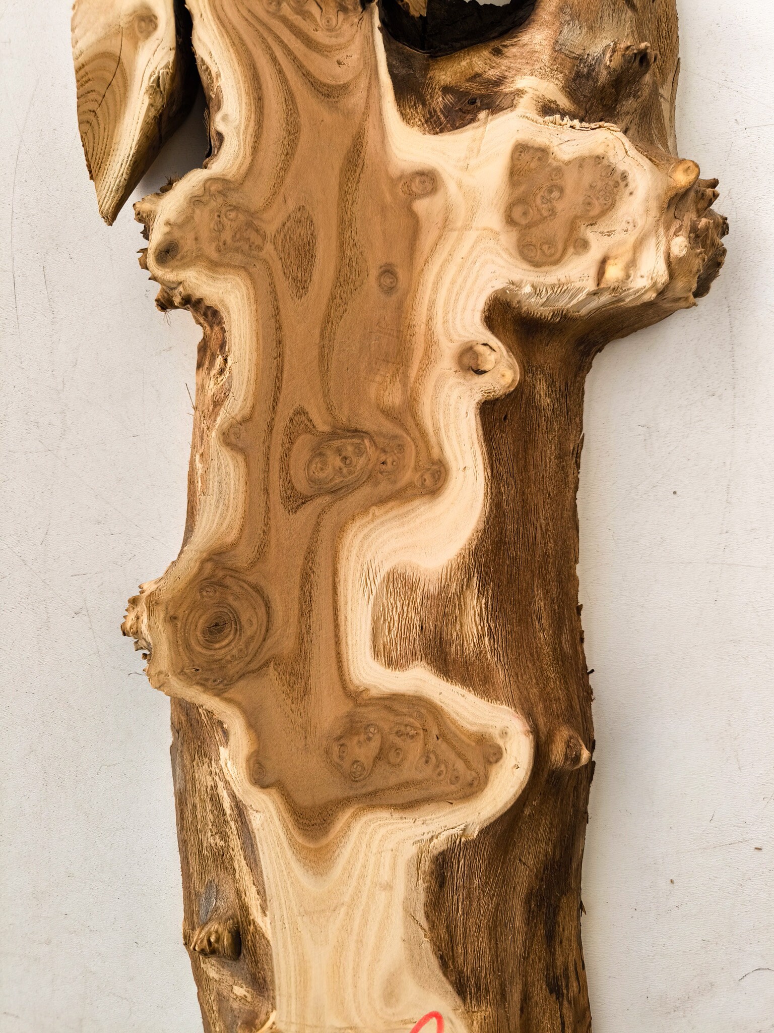 Live Edge Raw Edged Wood Sheet, Live Edge Sheet Unfinished for Craft ...