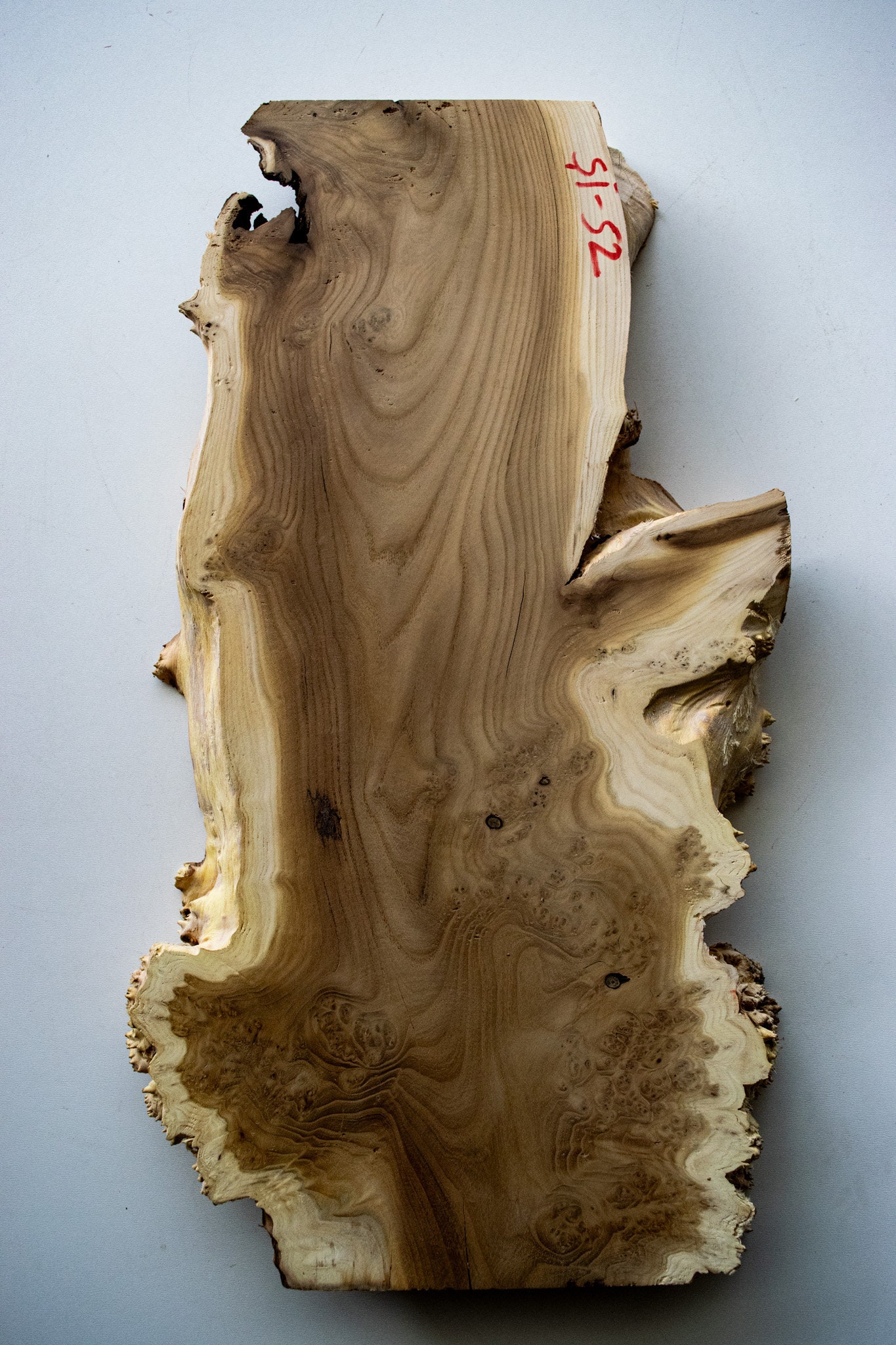Live Edge Raw Edged Wood Sheet Live Edge Sheet Unfinished for - Etsy