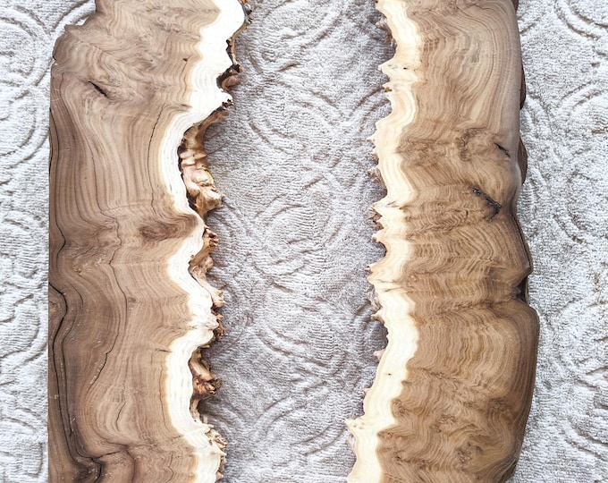 Authentic Wood Slice, Unique Tree Slab for Home & Garden Décor, Natural ...