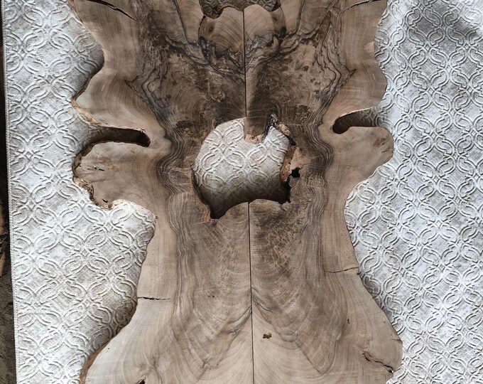 Walnut Tree Slice, Walnut Tree Wood Slabs, Live Edge, Unique Walnut ...