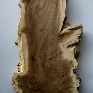 Live Edge Raw Edged Wood Sheet Live Edge Sheet Unfinished for - Etsy