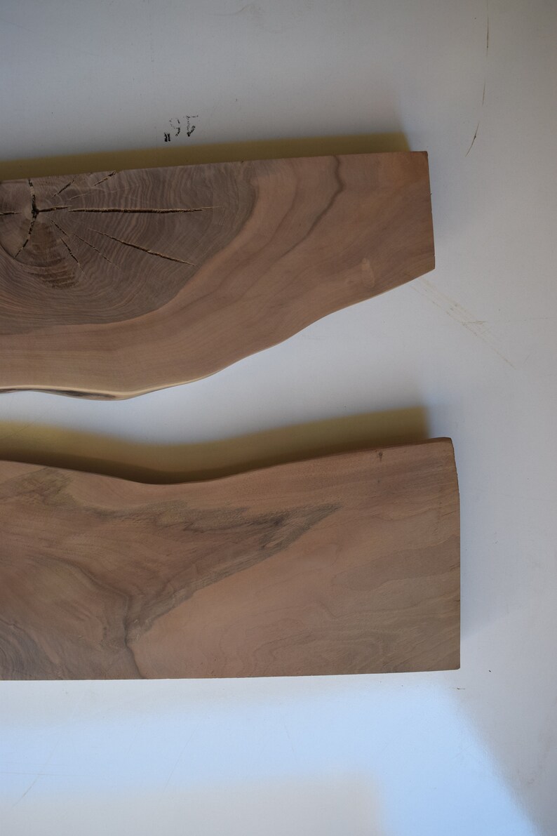 Walnut Tree Slice Walnut Tree Wood Slabs Live Edge Unique - Etsy