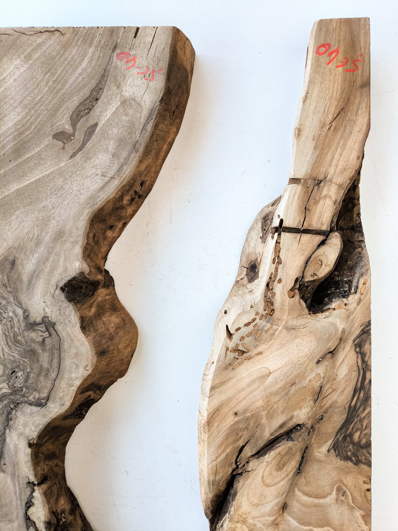 Walnut Tree Slice, Walnut Tree Wood Slabs, Live Edge, Unique Walnut ...