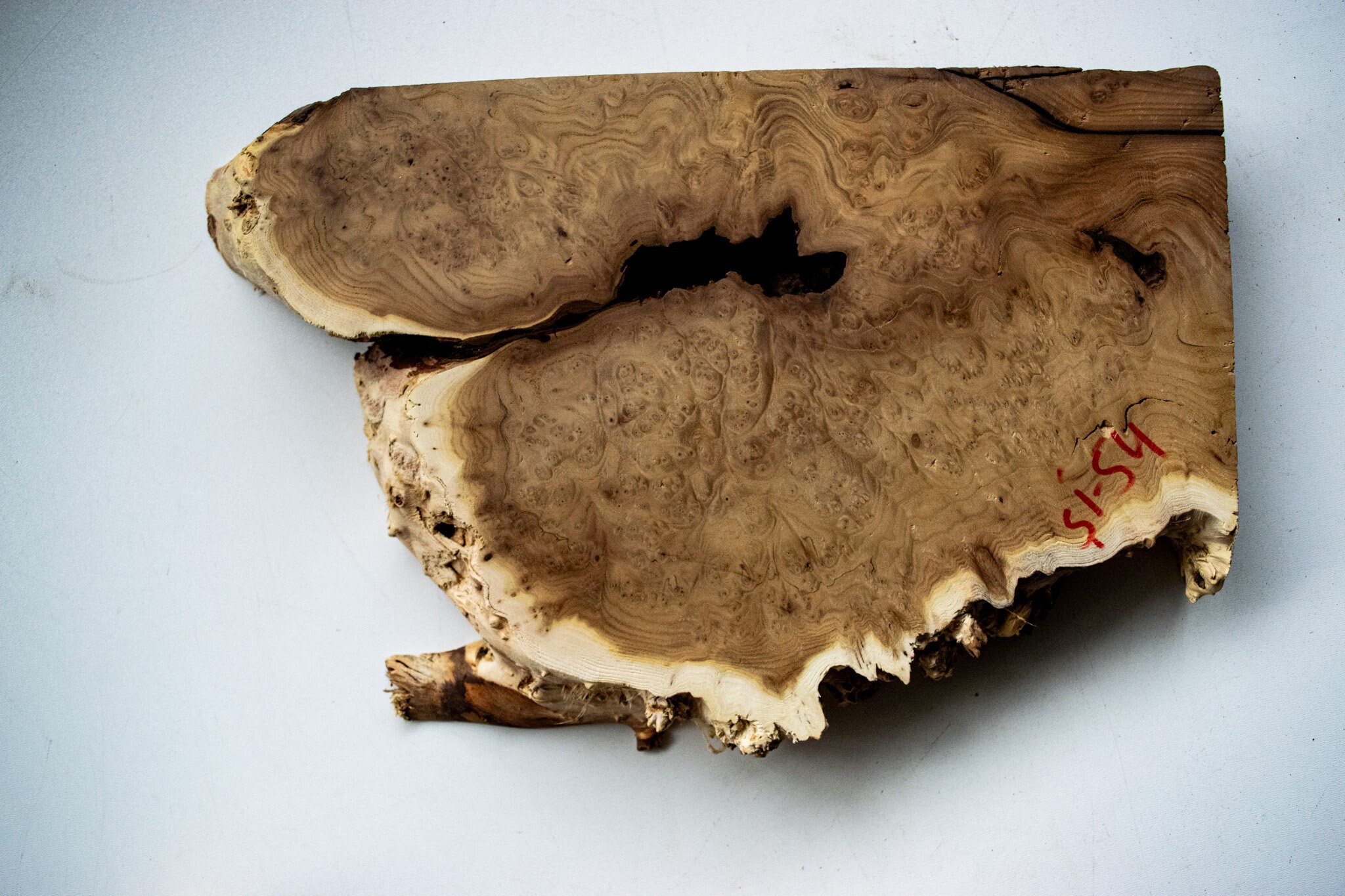 Live Edge Raw Edged Wood Sheet Live Edge Sheet Unfinished for - Etsy