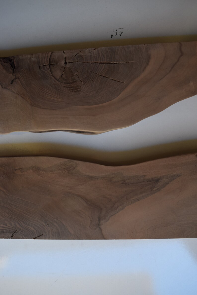 Walnut Tree Slice Walnut Tree Wood Slabs Live Edge Unique - Etsy